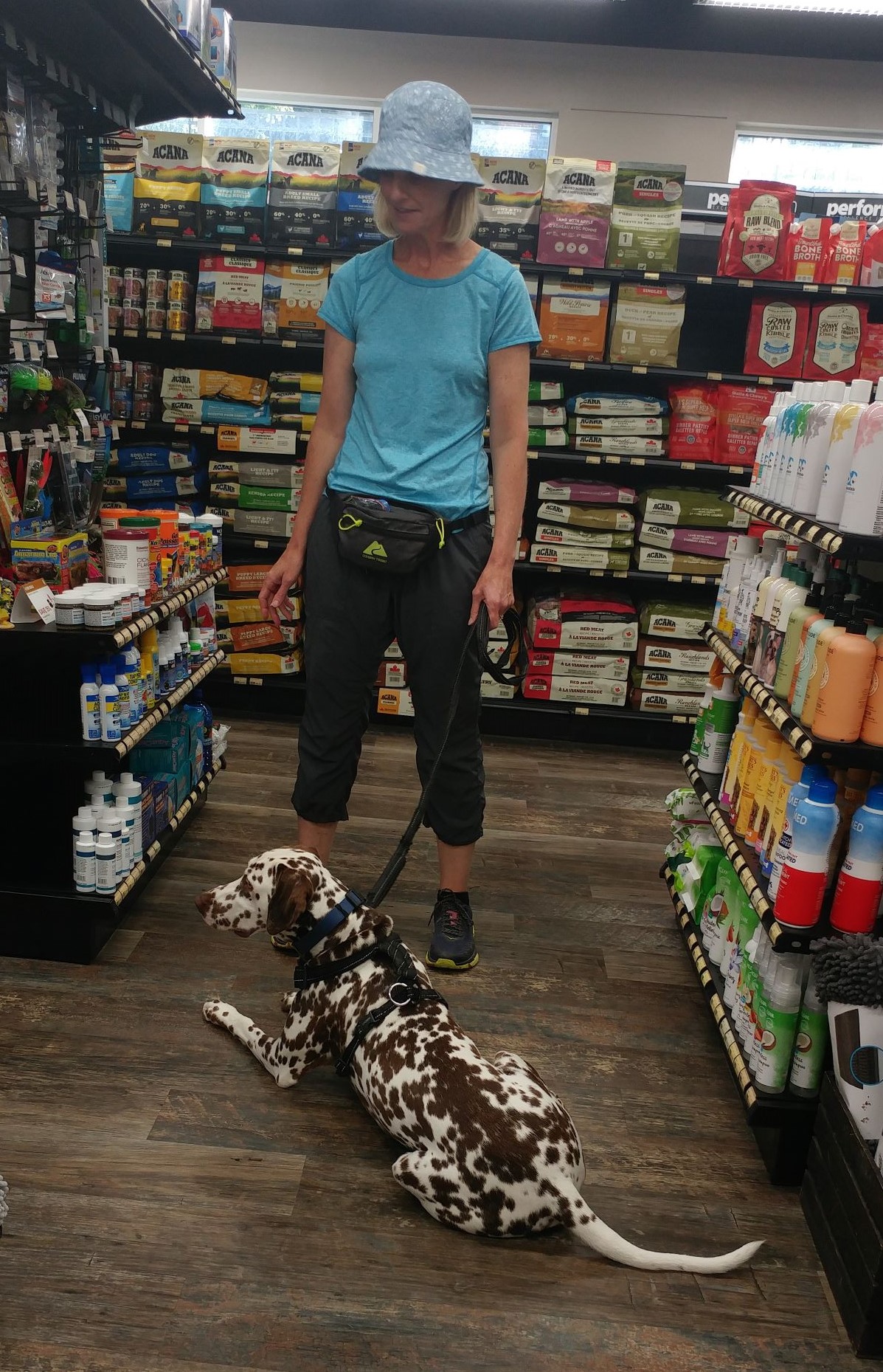 Boredom Busters - Furry Logic Dog Training