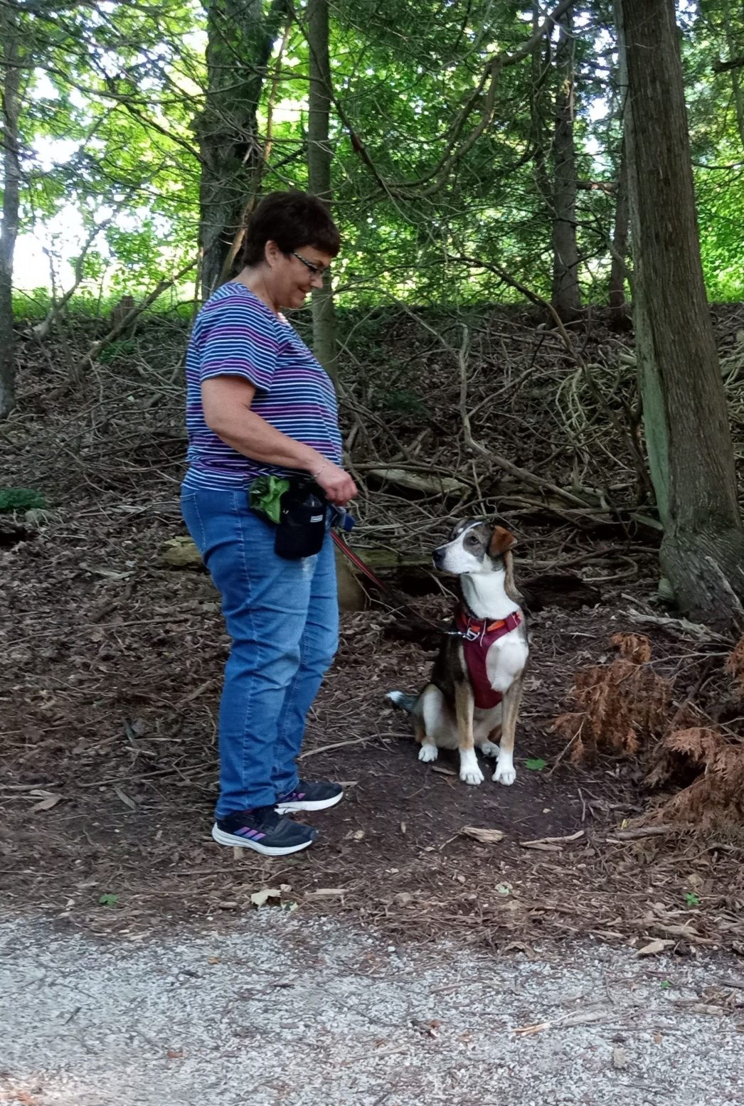 Group Classes - Furry Logic Dog Training